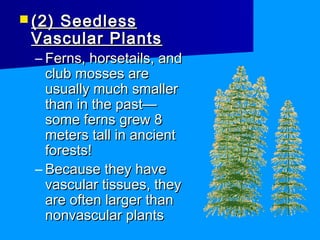 Introduction to plants | PPT