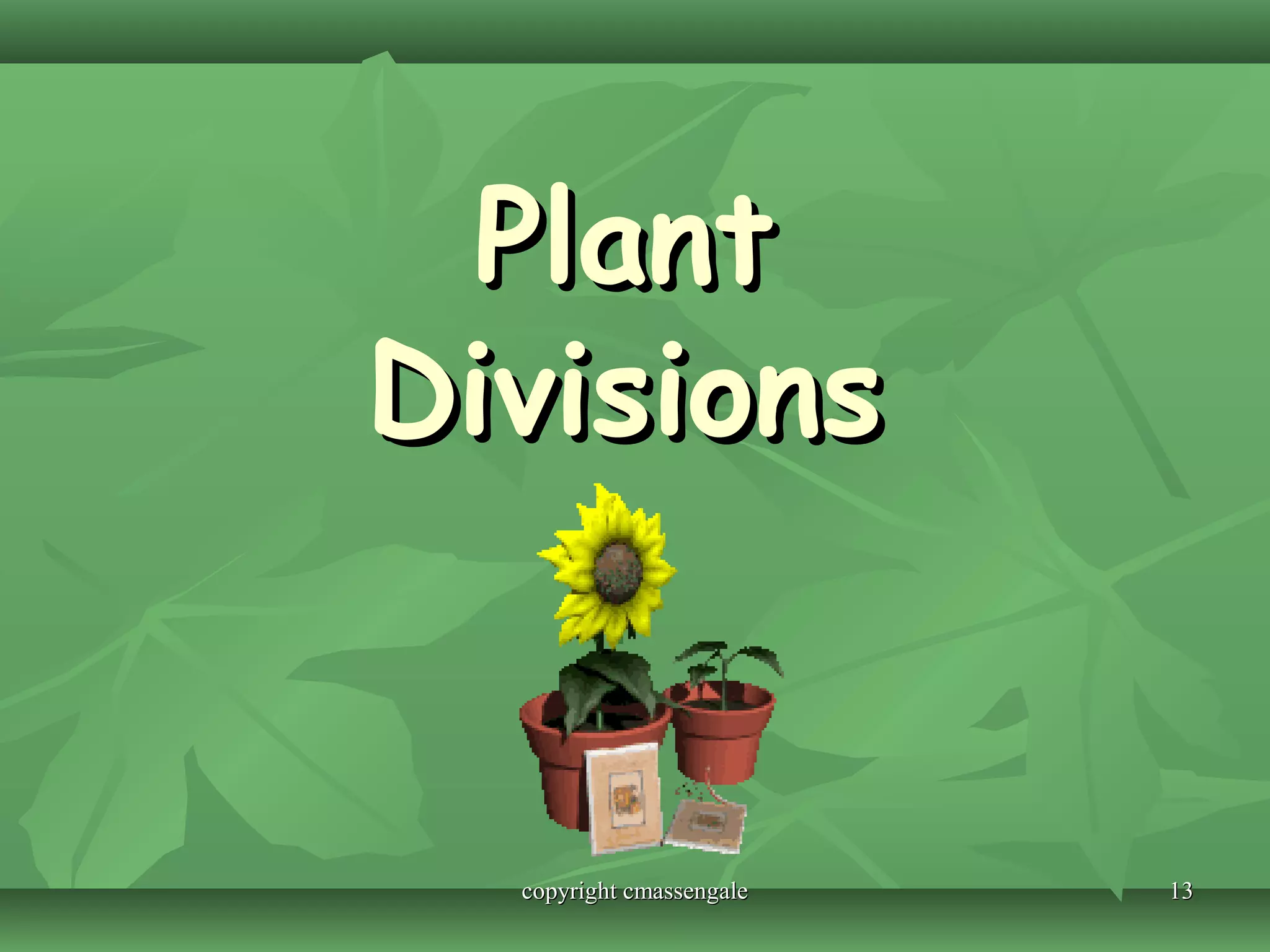Introduction to plants | PPT