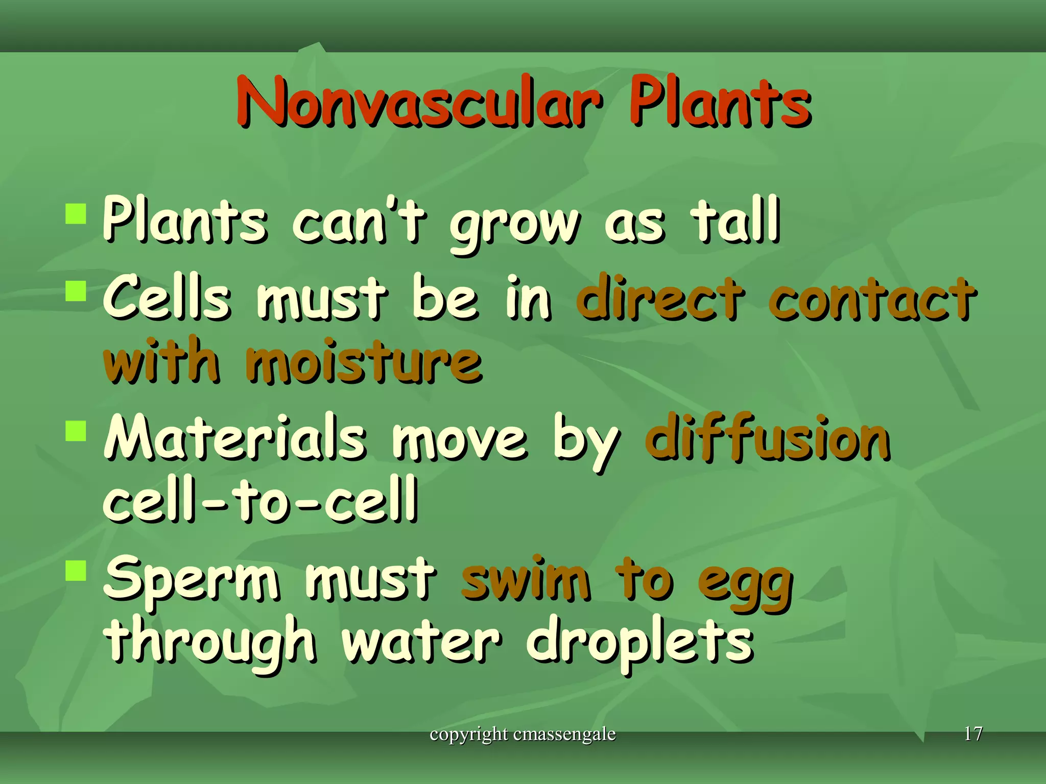 Introduction to plants | PPT