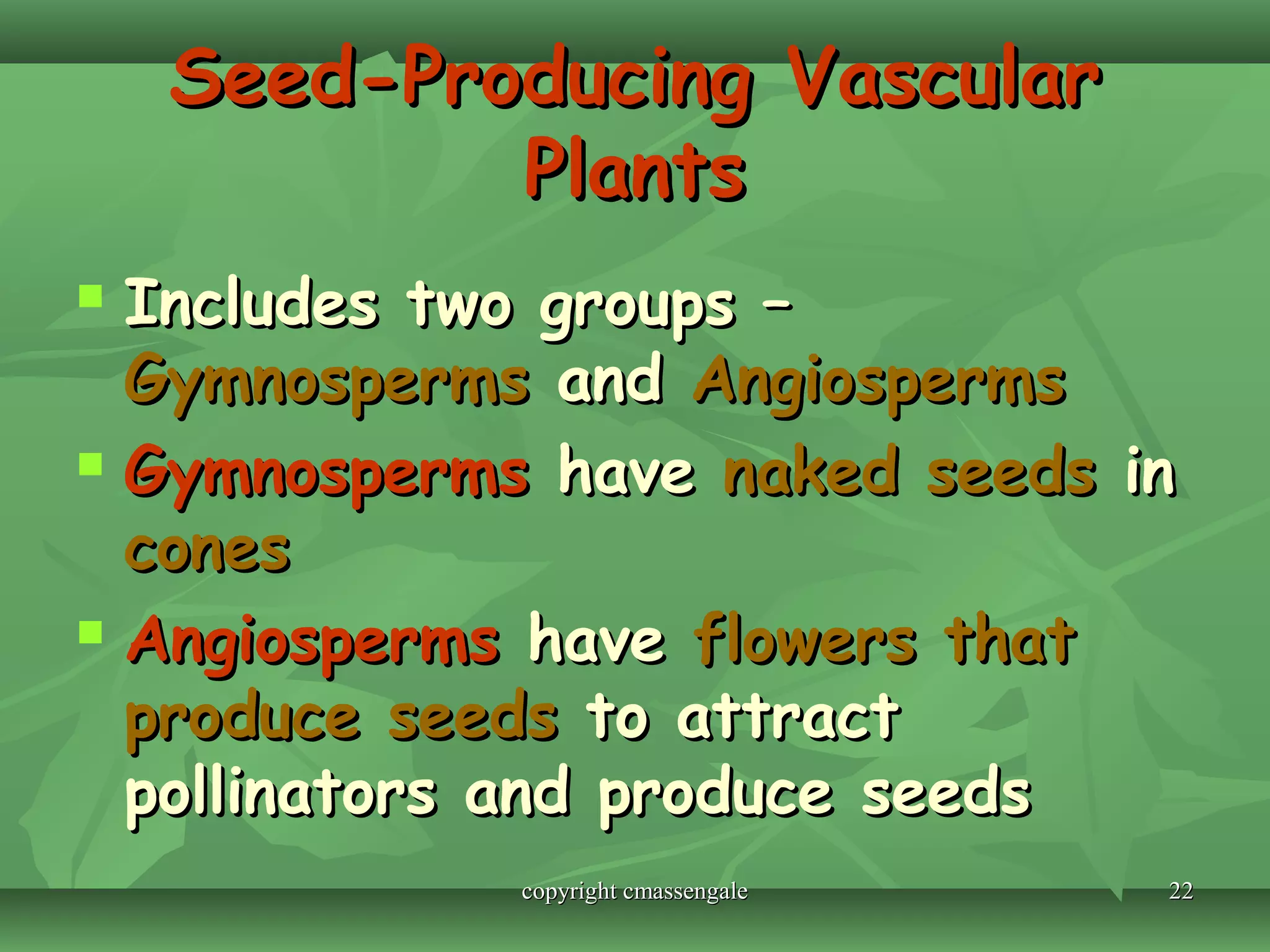 Introduction to plants | PPT