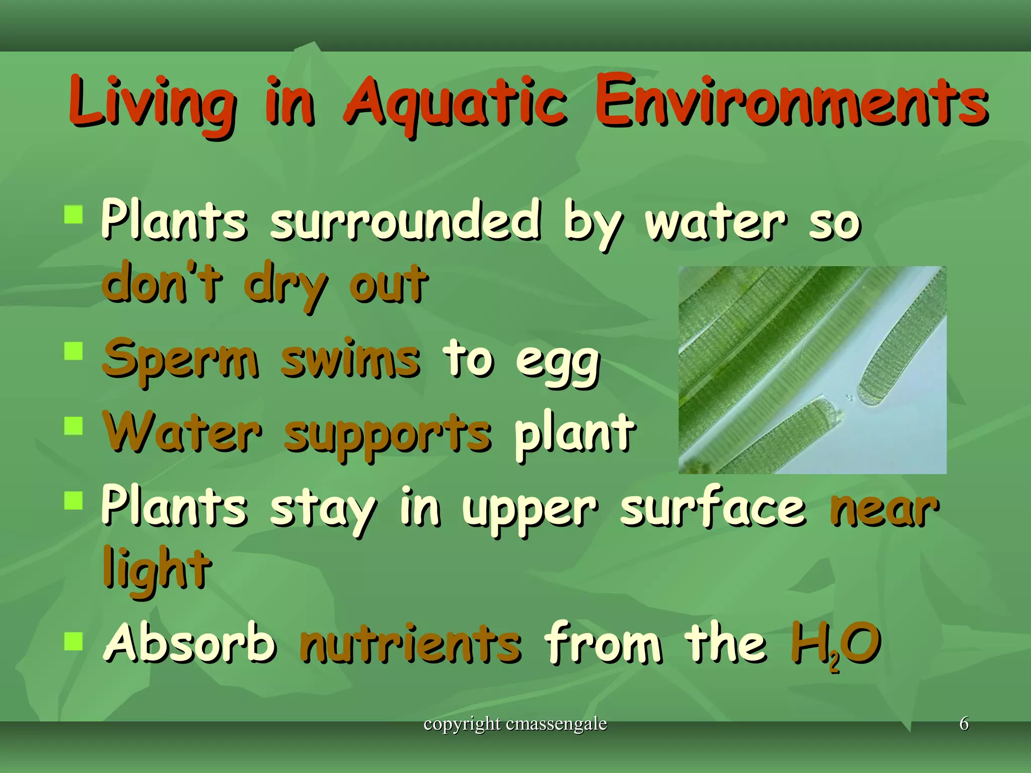 Introduction to plants | PPT