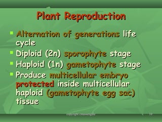 Introduction to plants | PPT | Gardening | Home & Garden
