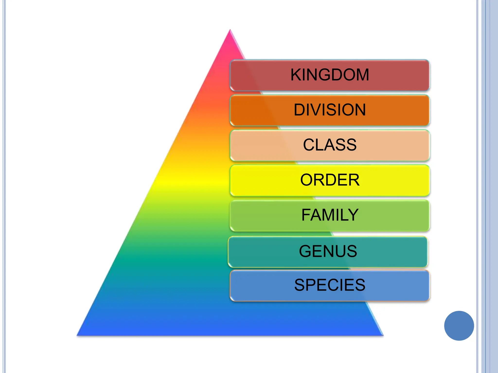 INTRODUCTION TO PLANT SYSTEMATICS.pptx