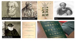 Introduction to plant Systematics by sarah Ashfaq.pptx