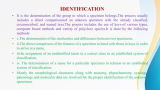 Introduction to Plant Taxonomy- Brief Idea | PDF
