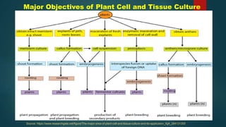 Introduction to plant tissue culture... | PPTX