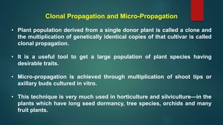 Introduction to plant tissue culture... | PPTX