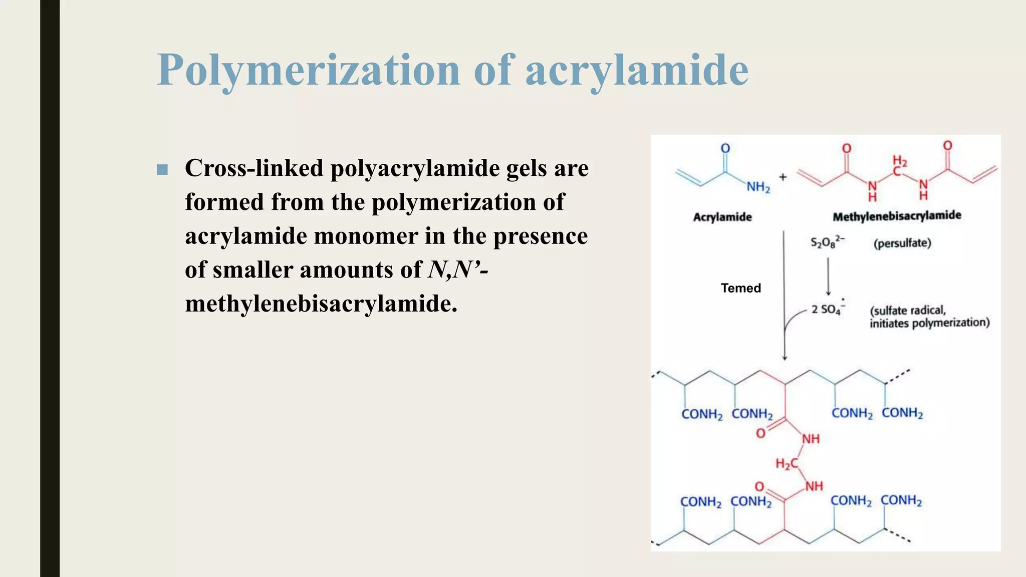 Introduction to polyacrylamide gel electrophoresis | PPTX