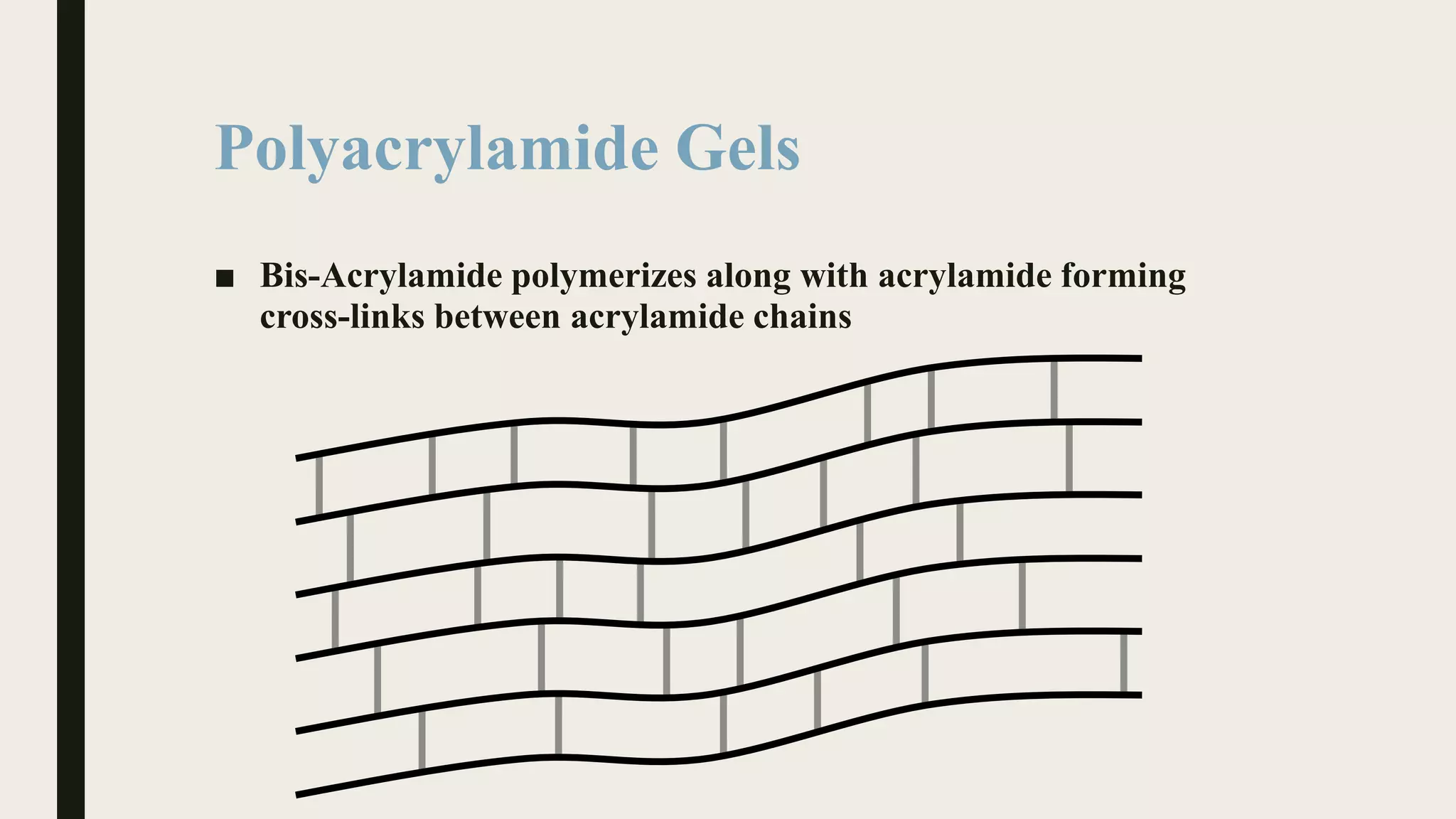 Introduction to polyacrylamide gel electrophoresis | PPTX
