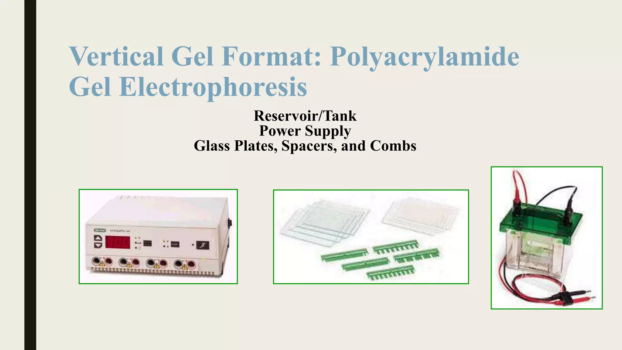 Introduction to polyacrylamide gel electrophoresis | PPTX