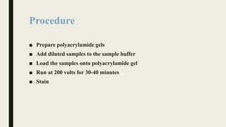 Introduction to polyacrylamide gel electrophoresis | PPTX