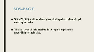 Introduction to polyacrylamide gel electrophoresis | PPTX