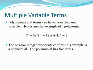 Introduction to Polynomial Functions | PPT