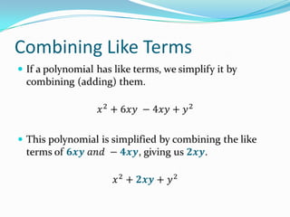Introduction to Polynomial Functions | PPTX