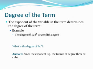 Introduction to Polynomial Functions | PPTX