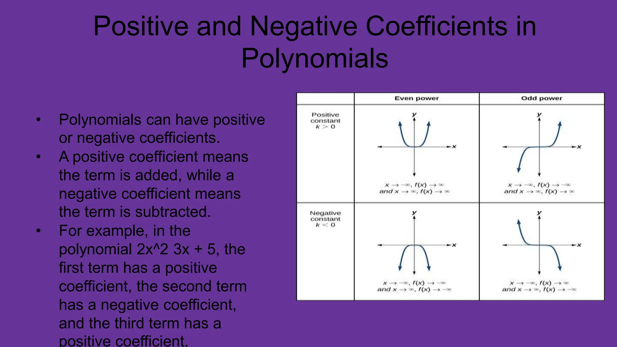 Introduction to Polynomials.pptx