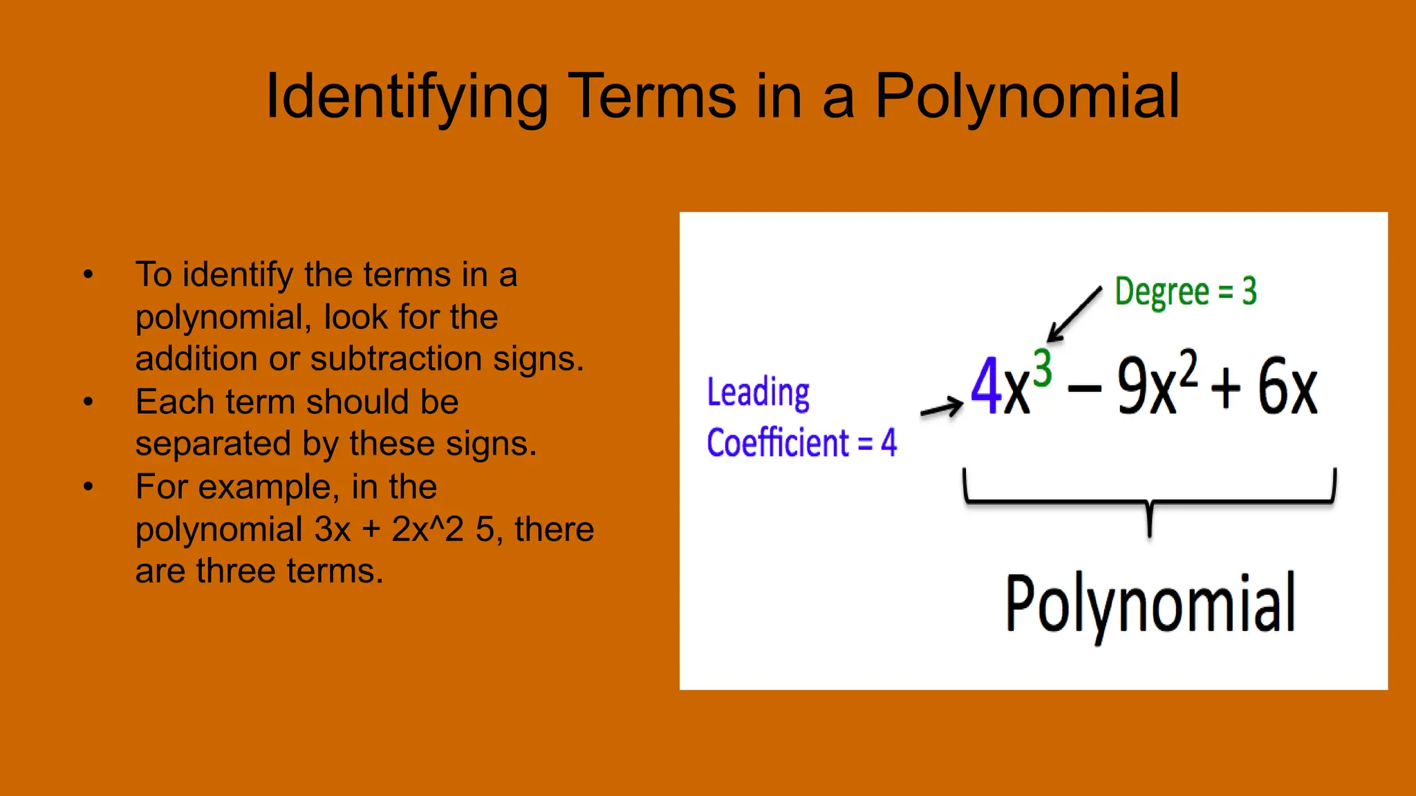 Introduction to Polynomials.pptx