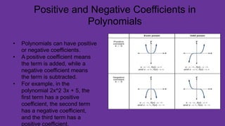 Introduction to Polynomials.pptx