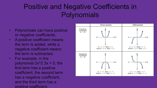 Introduction to Polynomials.pptx