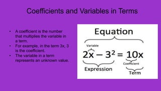 Introduction to Polynomials.pptx