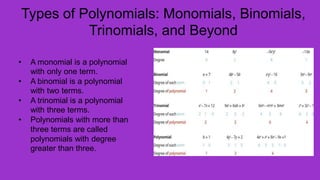 Introduction to Polynomials.pptx