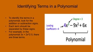 Introduction to Polynomials.pptx