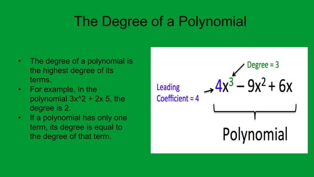 Introduction to Polynomials.pptx