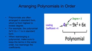 Introduction to Polynomials.pptx