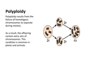 Introduction to Polyploidy.pptx