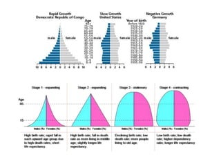 Introduction to population pyramids | PPTX | Geography | Science
