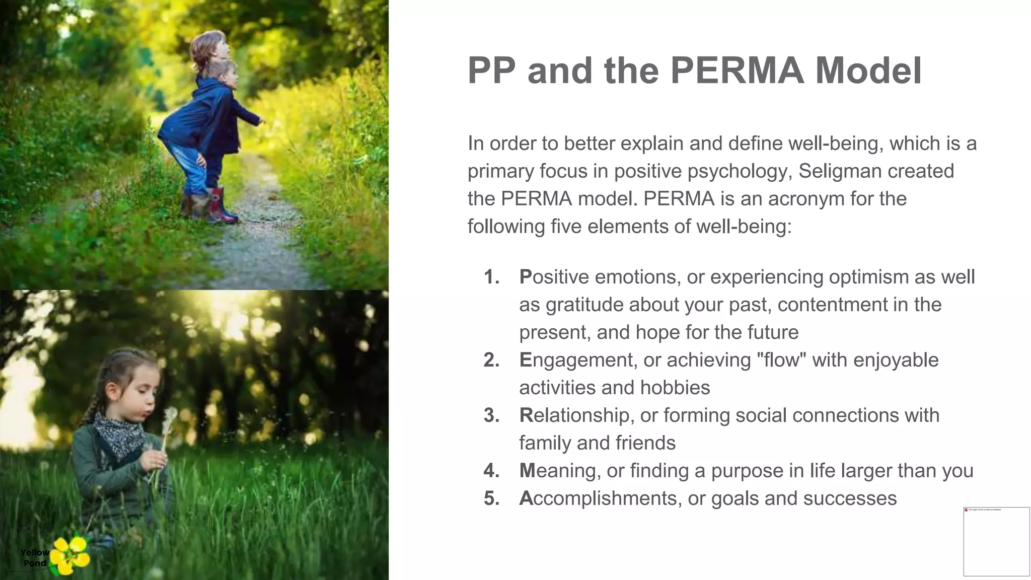 Introduction to Positive Psychology | PPTX