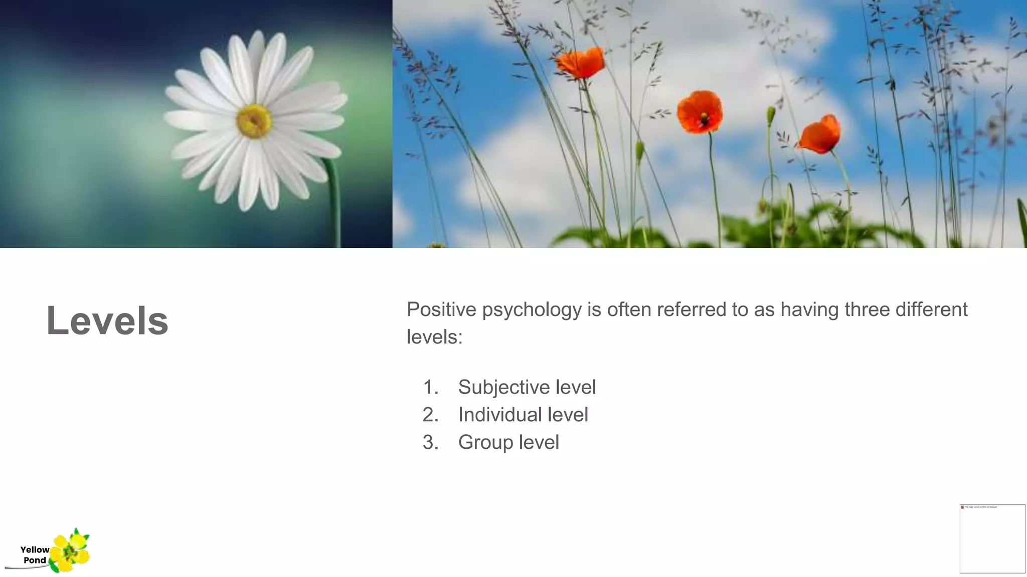 Introduction to Positive Psychology | PPTX | Wellness | Healthy Living