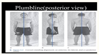 Introduction to Posture Muscles & Postural Analysis.pptx