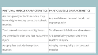 Introduction to Posture Muscles & Postural Analysis.pptx