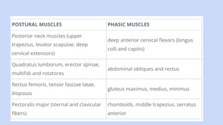 Introduction to Posture Muscles & Postural Analysis.pptx