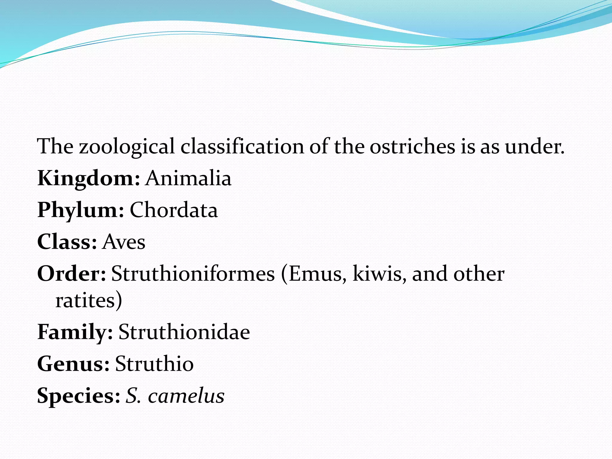 Introduction to poultry | PPTX