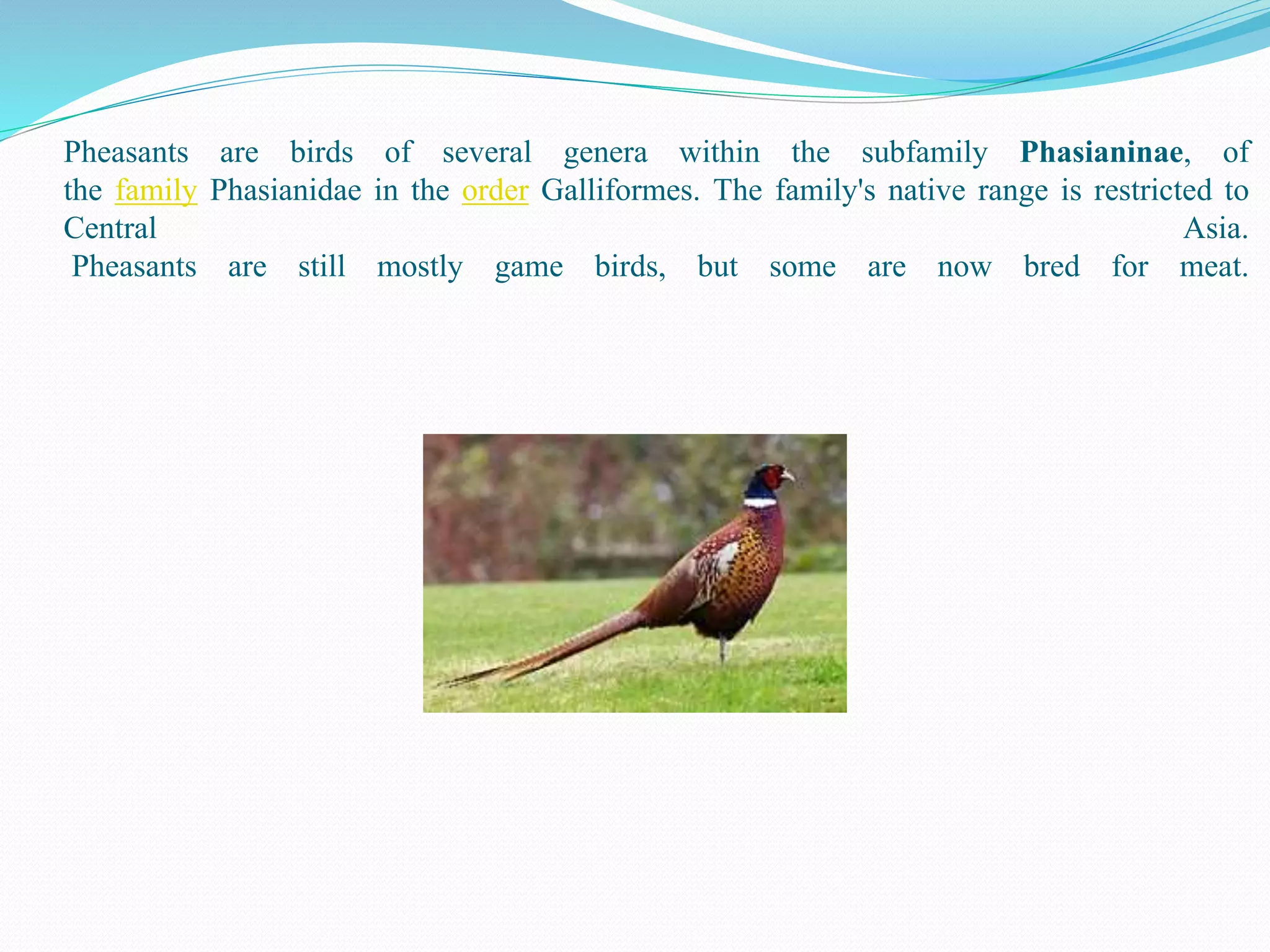 Introduction to poultry | PPTX