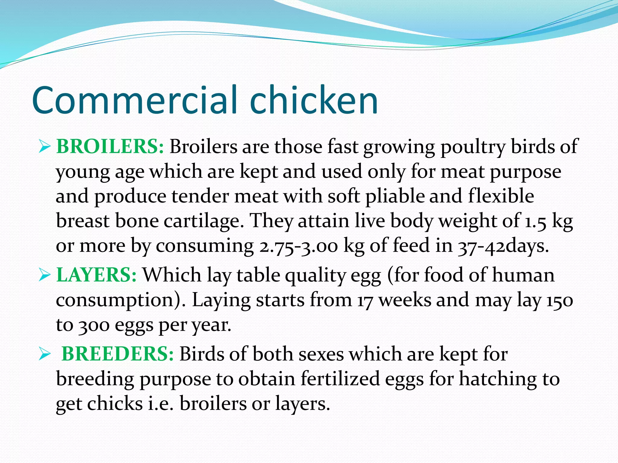 Introduction to poultry | PPTX