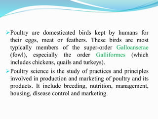 Introduction to poultry | PPTX