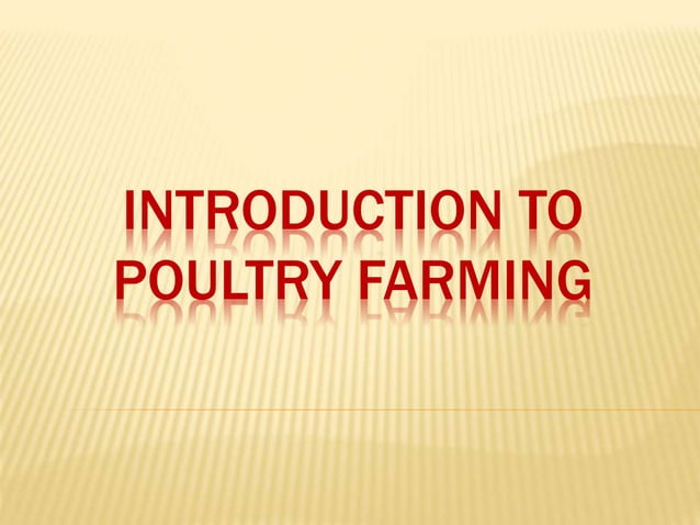Introduction to poultry farming | PPTX | Agriculture | Industries