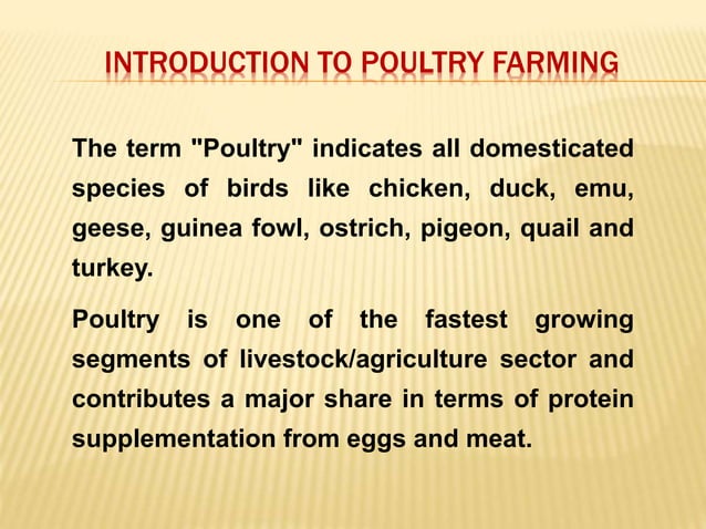Introduction to poultry farming | PPTX | Agriculture | Industries