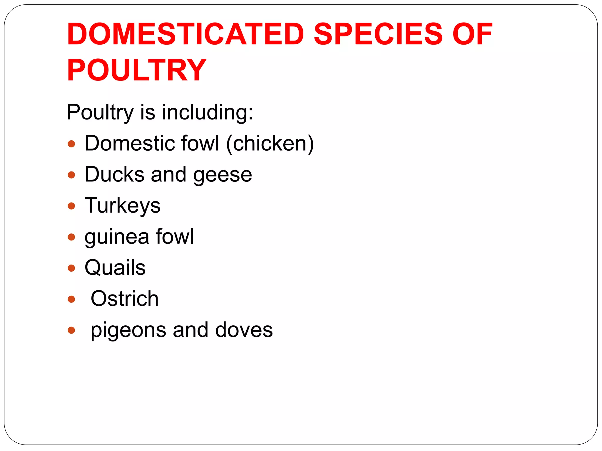 Introduction to poultry production | PPTX