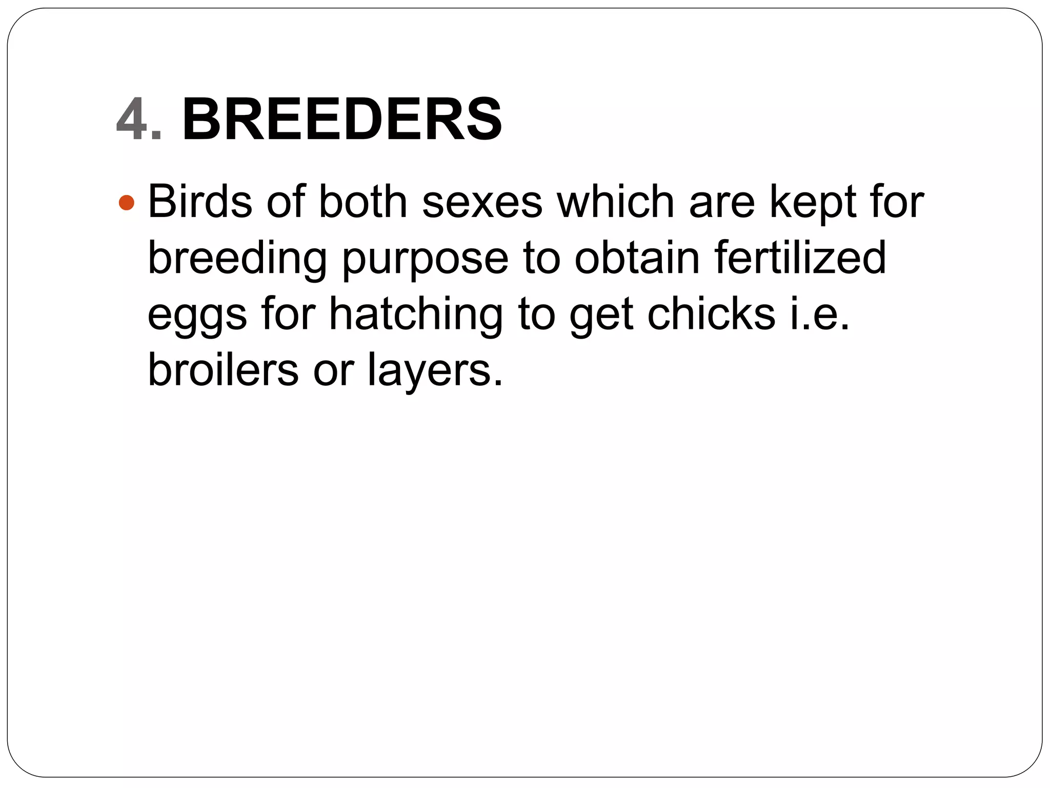 Introduction to poultry production | PPTX
