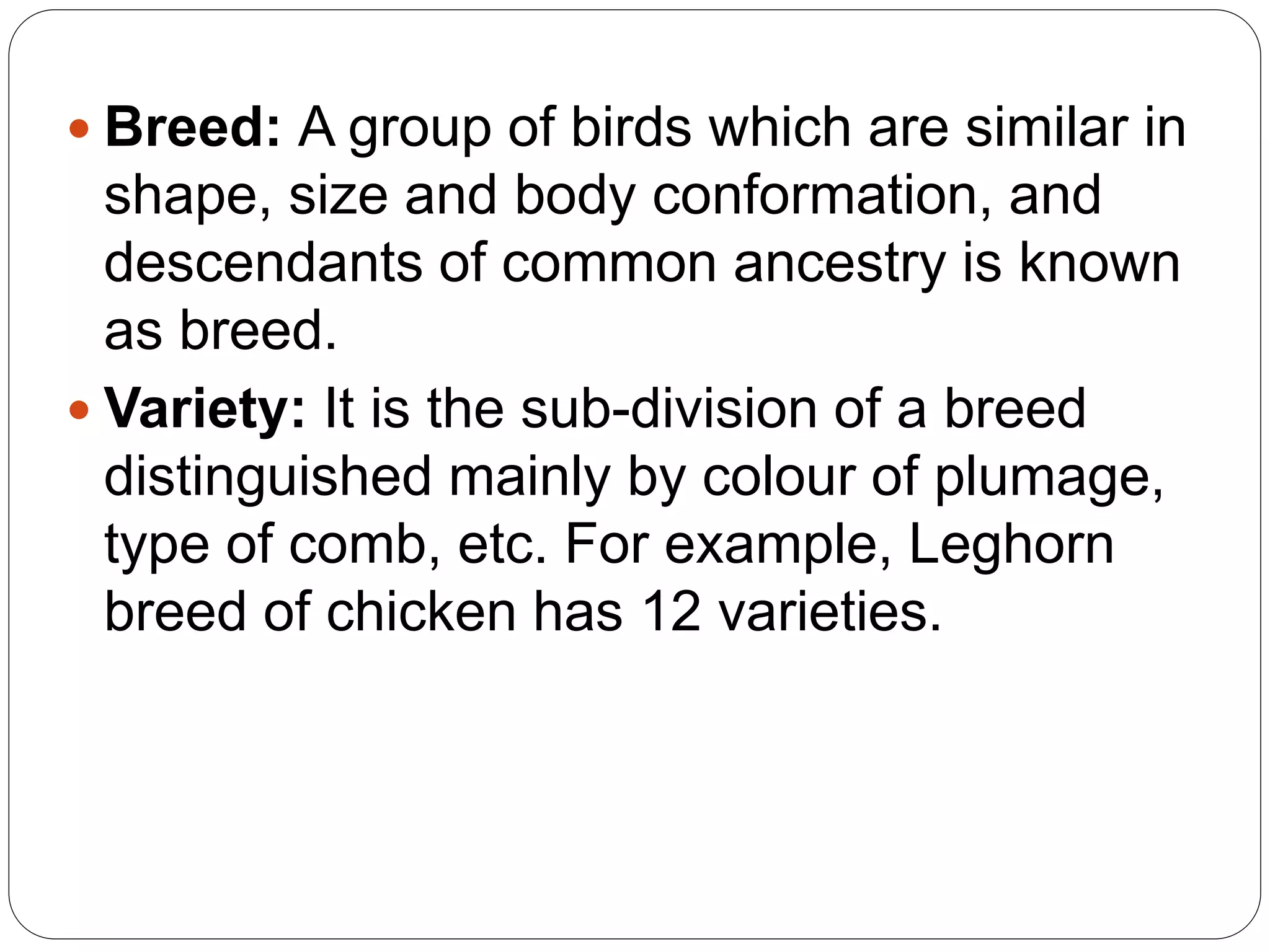 Introduction to poultry production | PPTX