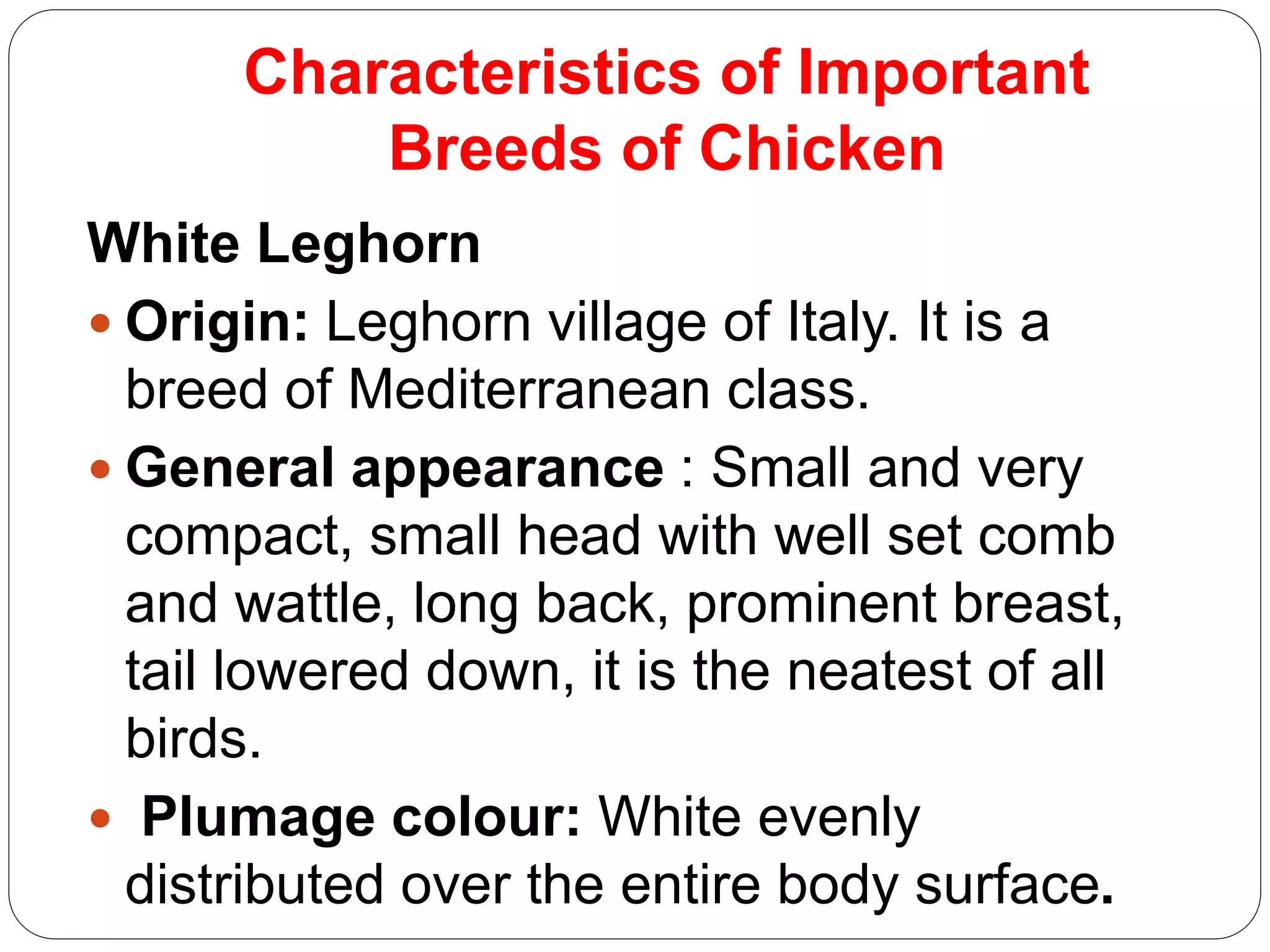 Introduction to poultry production | PPTX