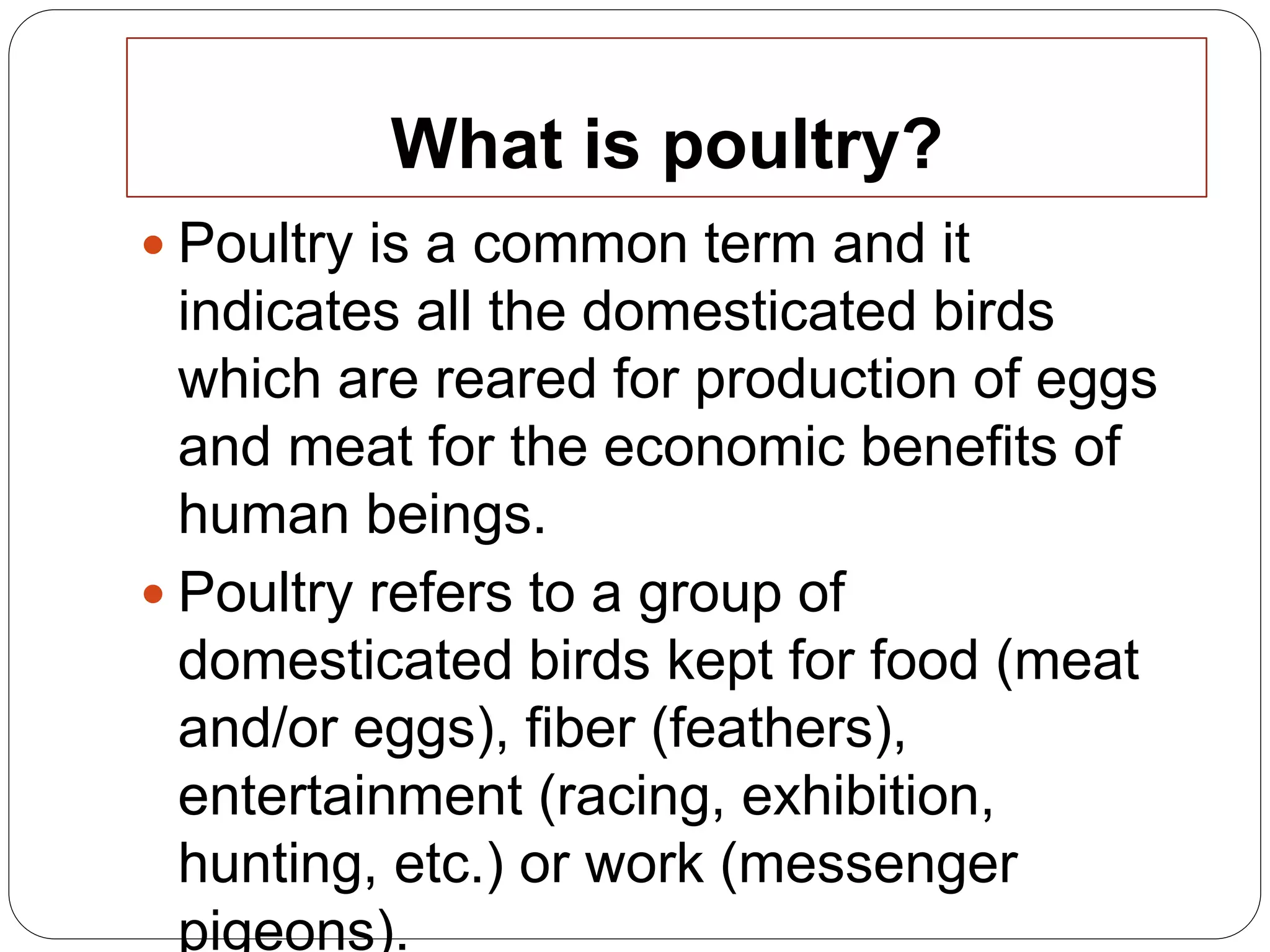 Introduction to poultry production | PPTX