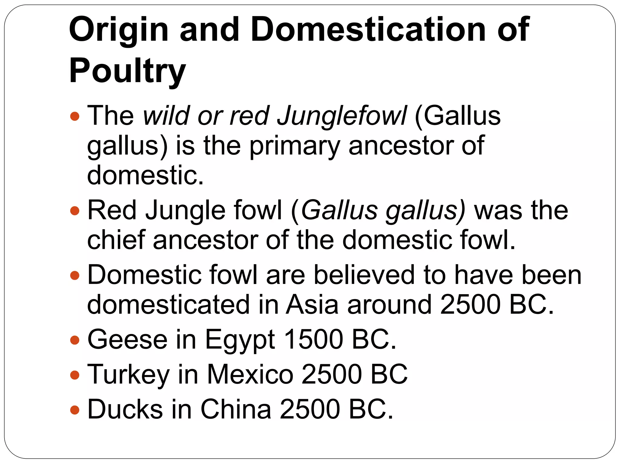 Introduction to poultry production | PPTX