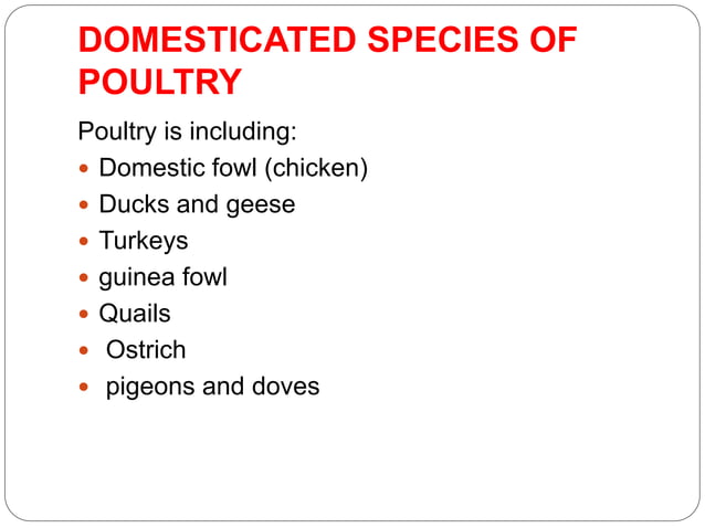 Introduction to poultry production | PPTX