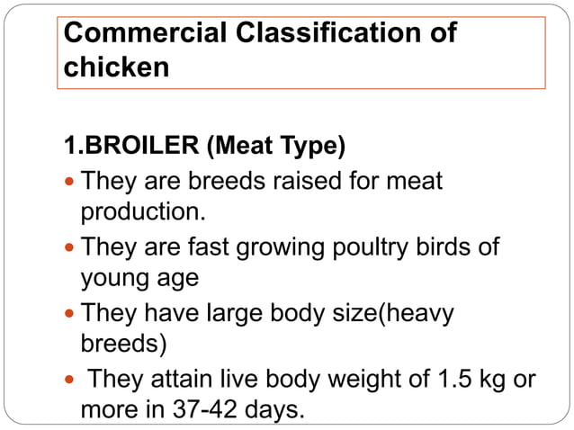Introduction to poultry production | PPTX