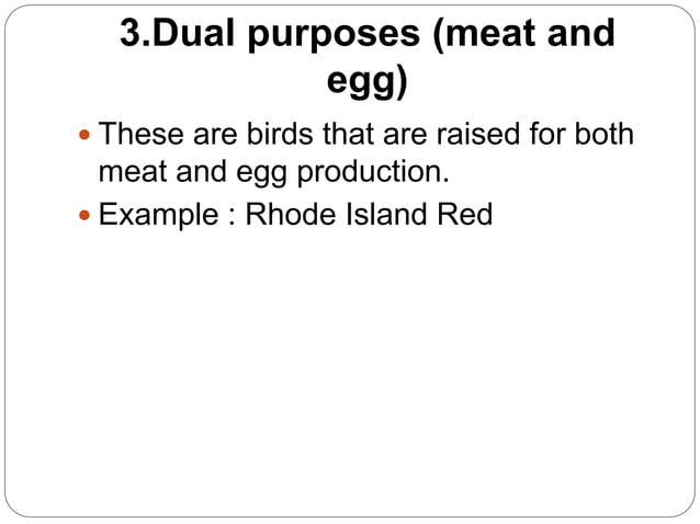 Introduction to poultry production | PPTX